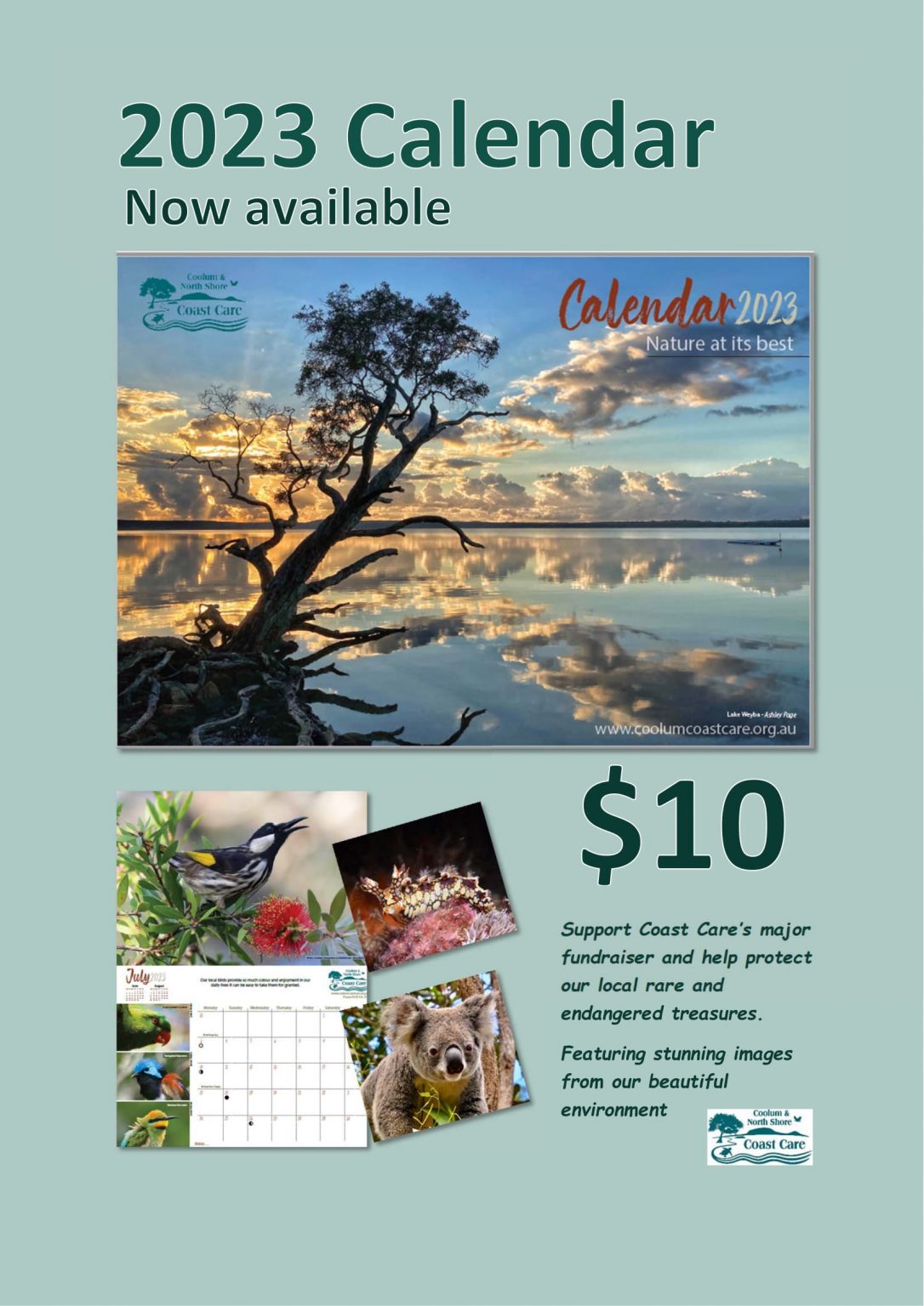 2023 Coast Care Calendar now available – Coolum Advertiser