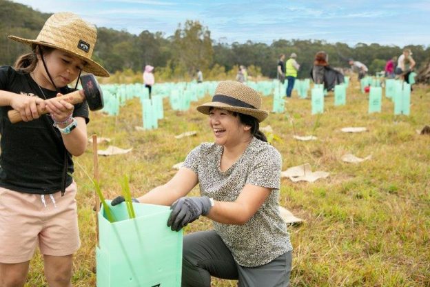Green thumbs called on for national tree day – Coolum Advertiser